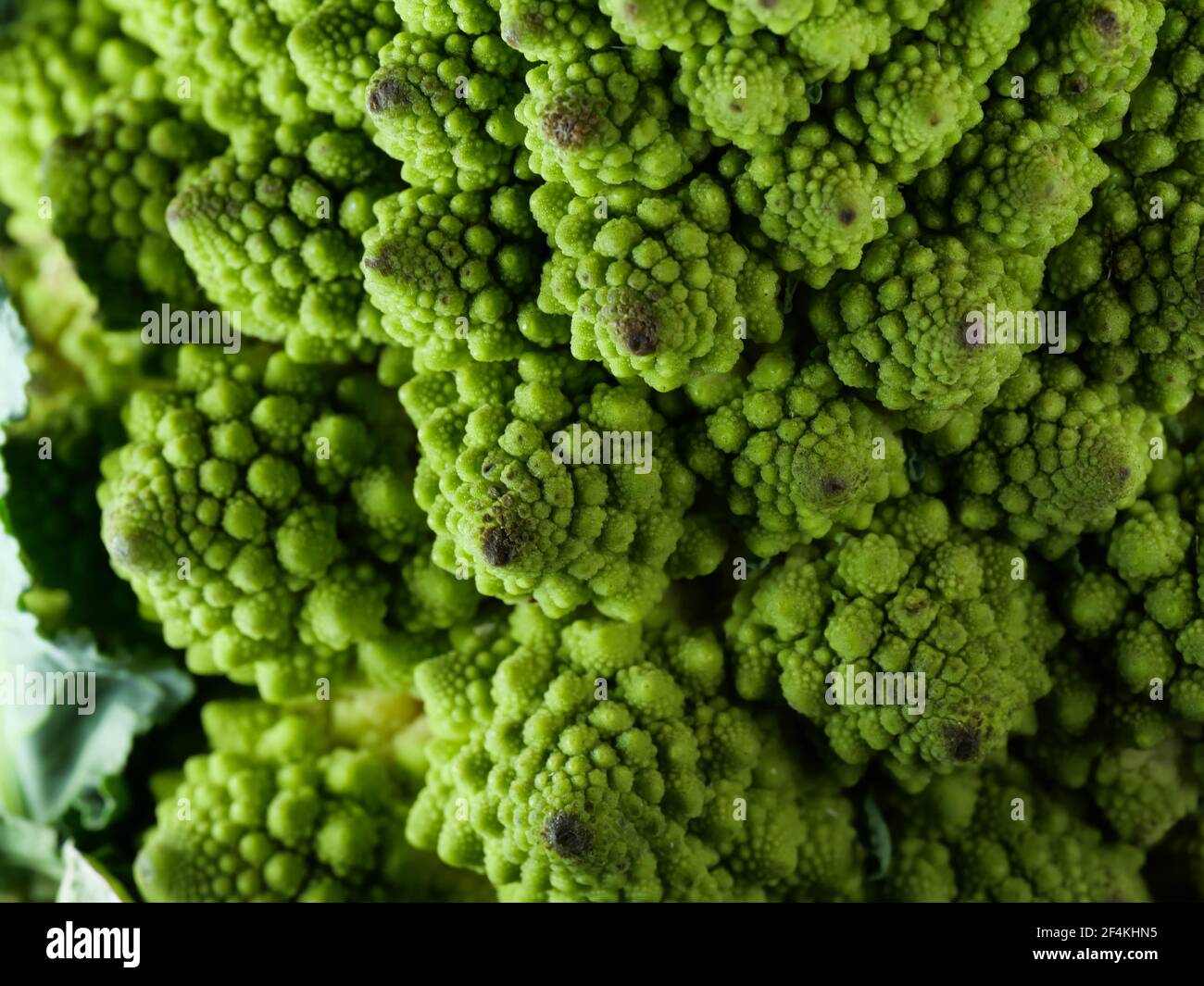 Romanesco broccoli cabbage (or Roman Cauliflower Stock Photo - Alamy