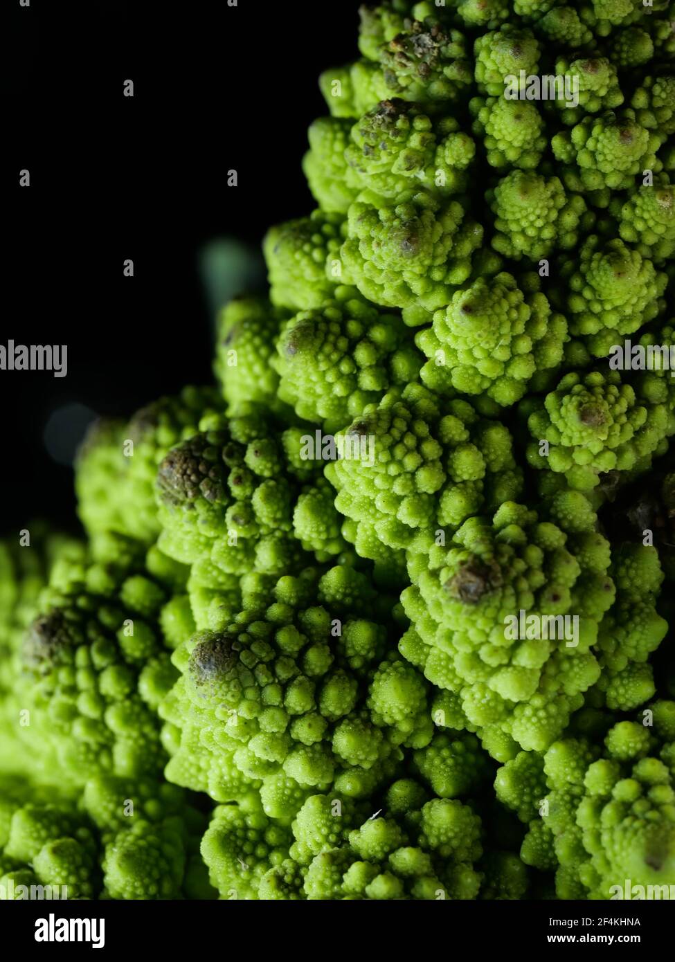 Romanesco broccoli cabbage (or Roman Cauliflower Stock Photo - Alamy
