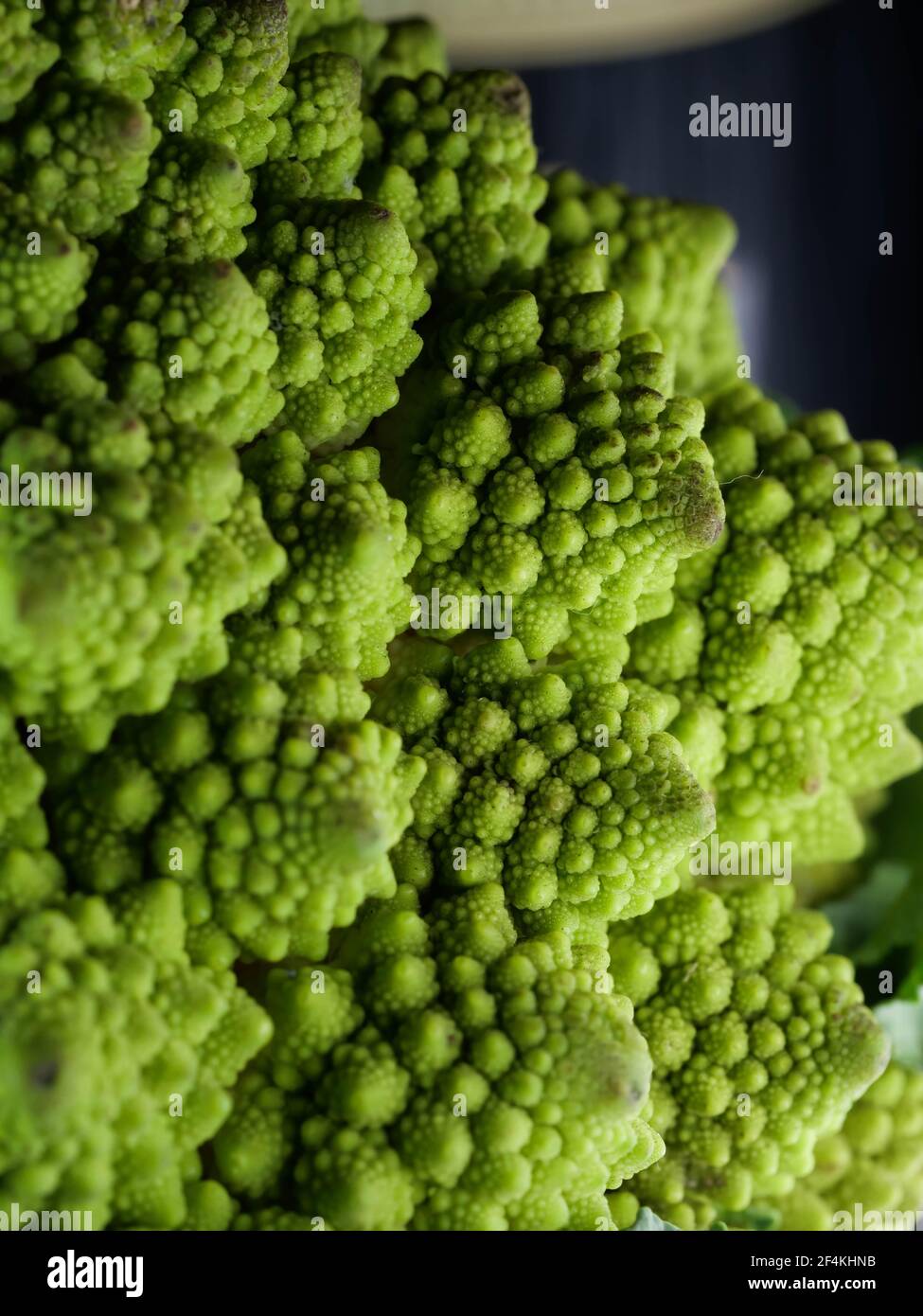 Romanesco broccoli cabbage (or Roman Cauliflower Stock Photo - Alamy