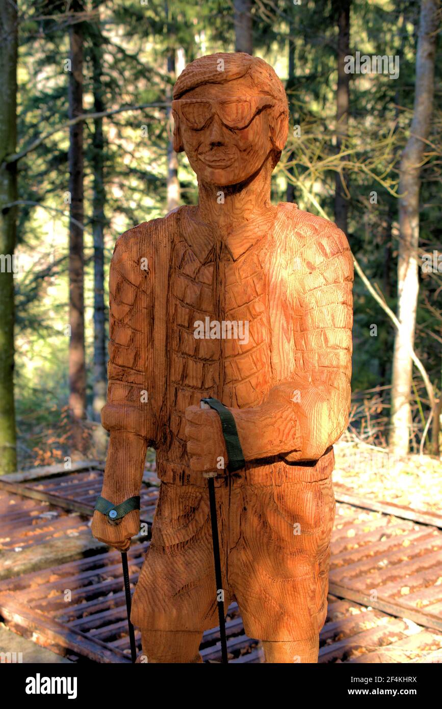 Respect the forest hi-res stock photography and images - Alamy