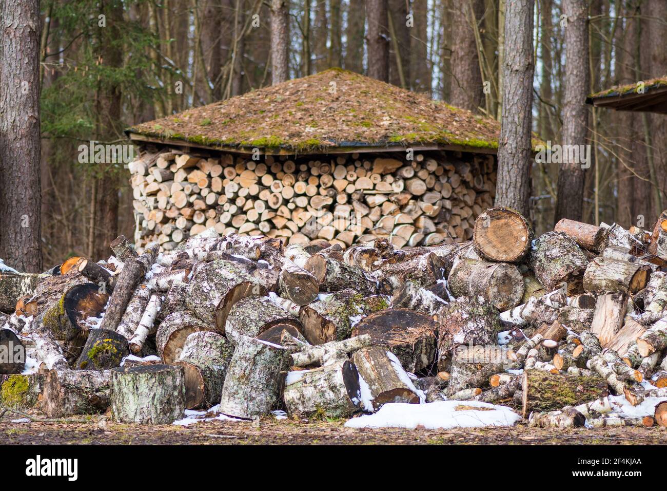 Stacking logs for drying hi-res stock photography and images - Alamy