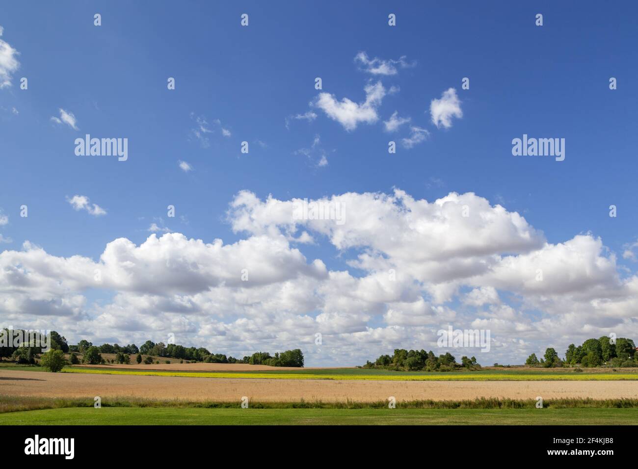 Sweden fields hi-res stock photography and images - Alamy