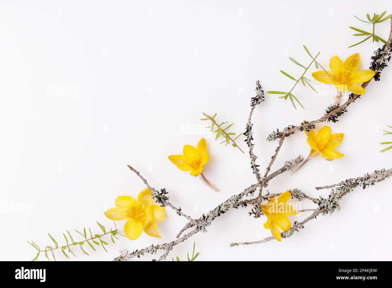 Spring frame of small yellow flowers, floral arrangement Stock Photo ...