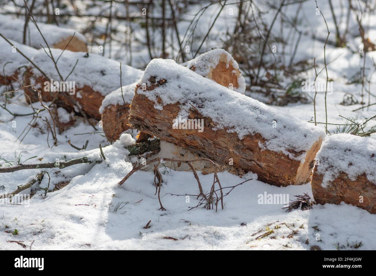 Log blocks hi-res stock photography and images - Alamy