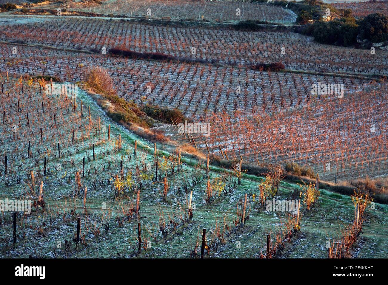 Las vides hi-res stock photography and images - Alamy