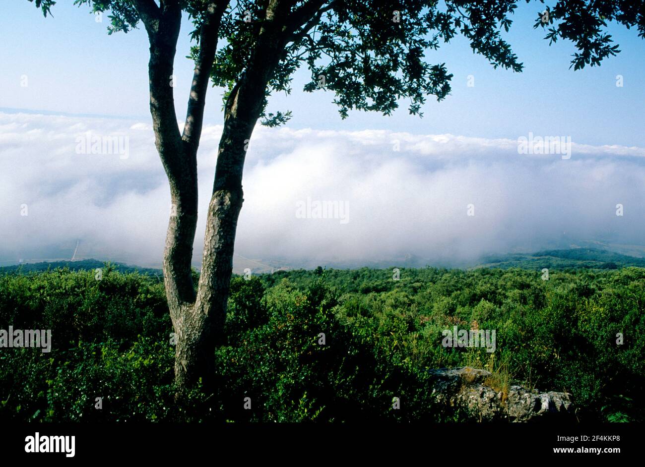 Balcón de la rioja hi-res stock photography and images - Alamy