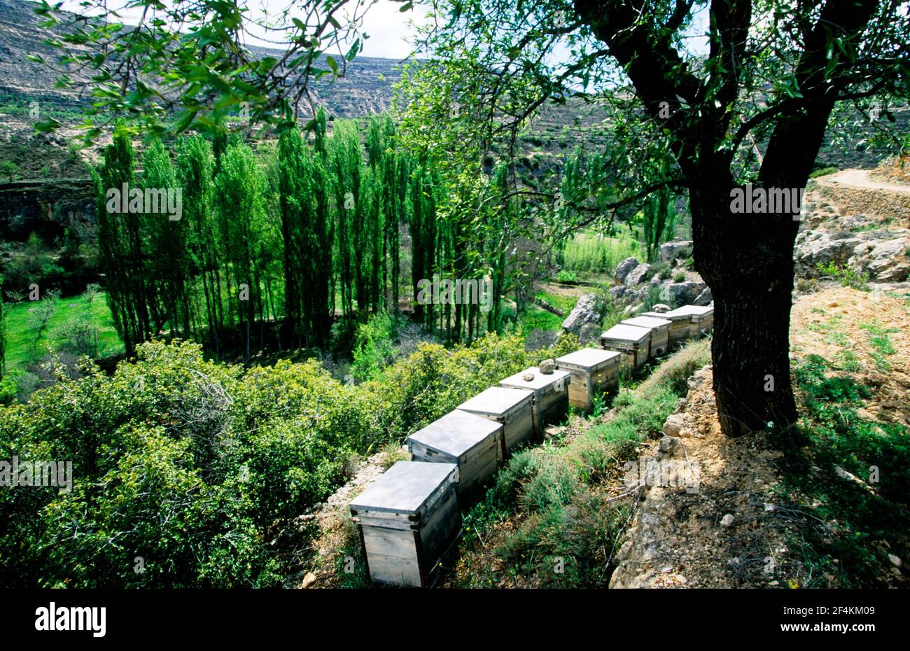 Rincón de ademuz hi-res stock photography and images - Alamy