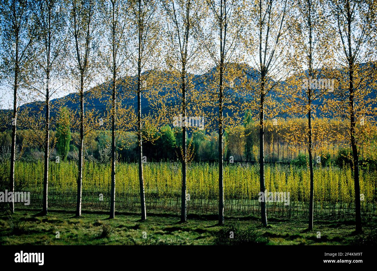 Ademuz valley hi-res stock photography and images - Alamy