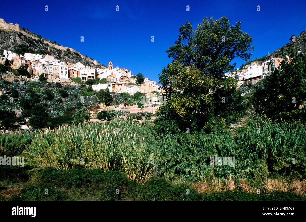 Los serranos hi-res stock photography and images - Alamy