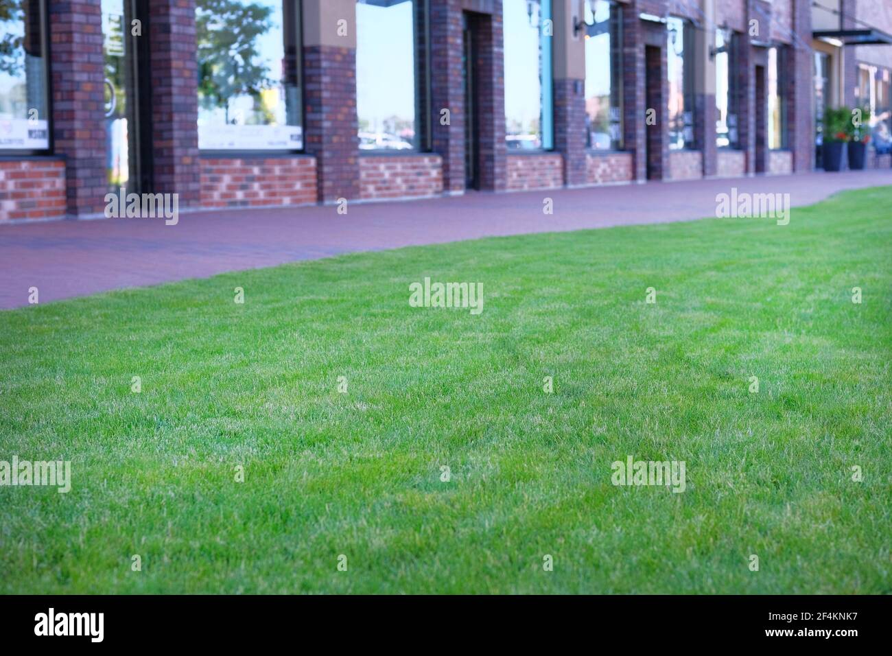 Freshly cut green lawn in summer city. City landscape design Stock ...
