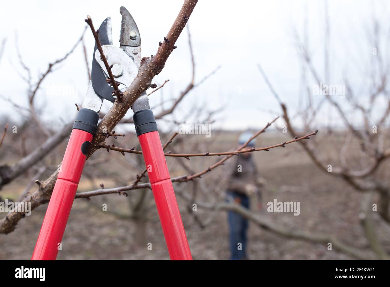 Man woman garden shears hi-res stock photography and images - Alamy