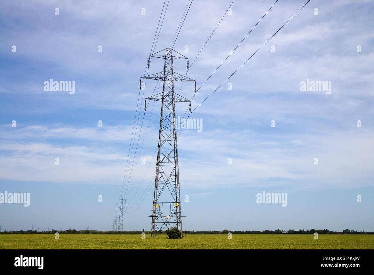 electrical power distribution pylons across farmland in Lincolnshire ...