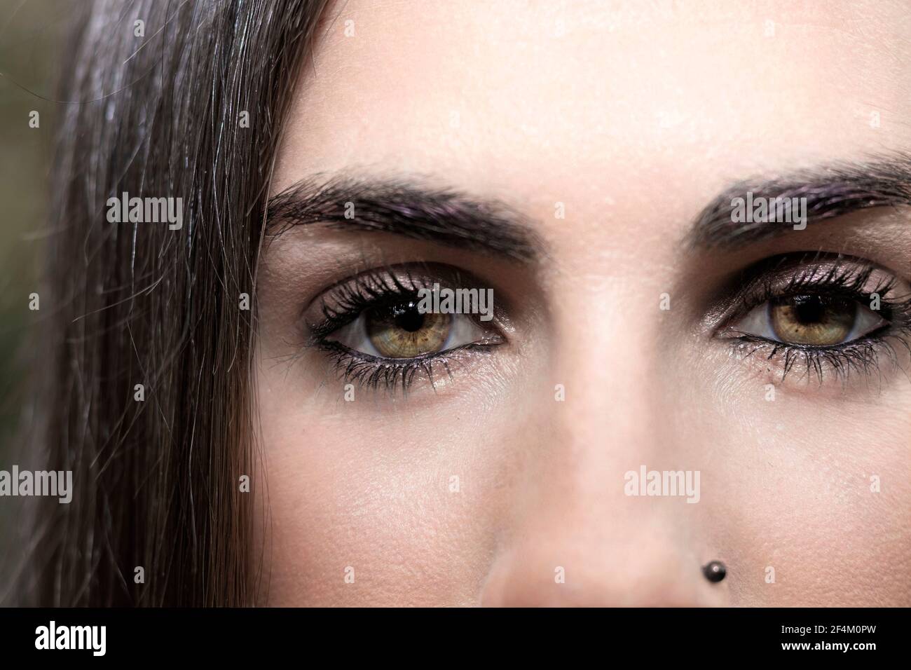face of a young brunette girl in the first plane Stock Photo - Alamy
