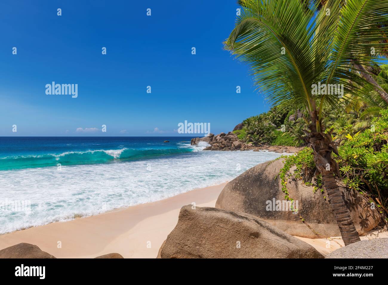 Exotic tropical beach with beautiful cliffs and coconut palms Stock ...