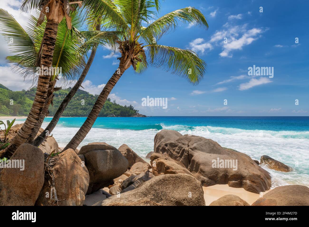 Exotic tropical beach with beautiful cliffs and coconut palms Stock ...