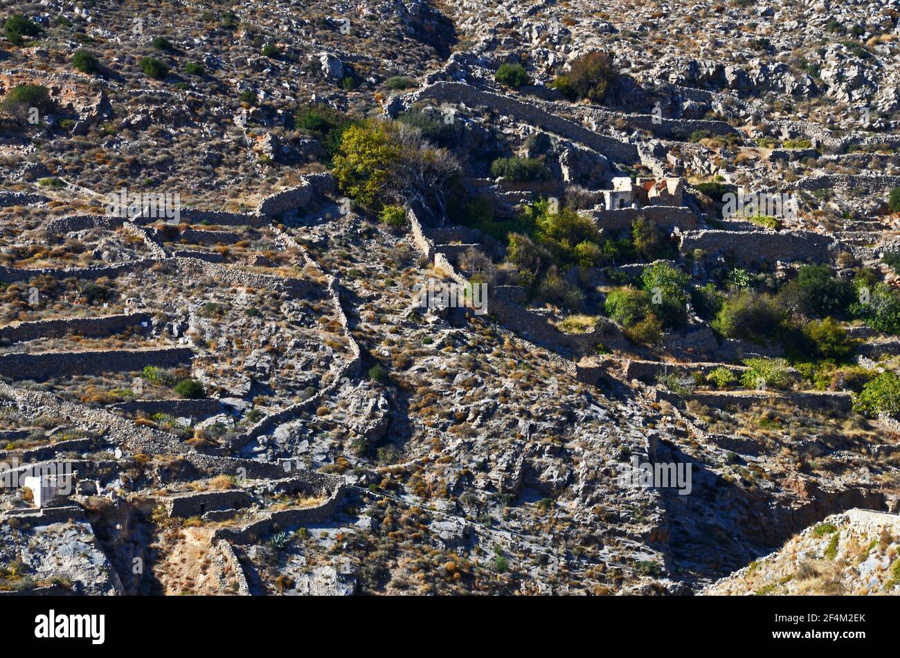 Terraces and dry stone walls on a hillside near Ano Syros, Syros ...
