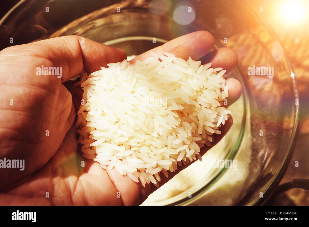 Female Hand Holding Rice Grain. Food ingredient material for cooking ...