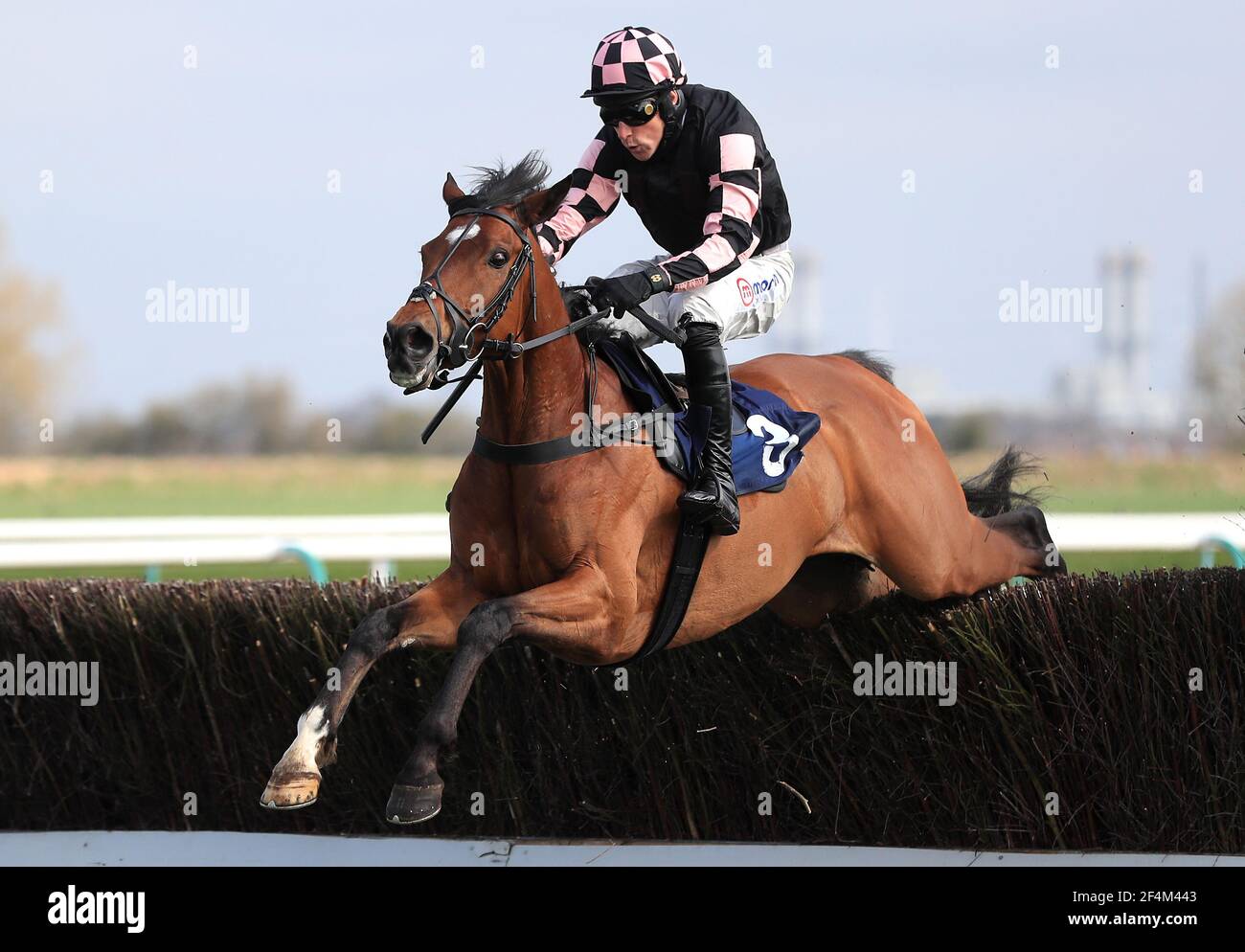 Christine egerton hi-res stock photography and images - Alamy