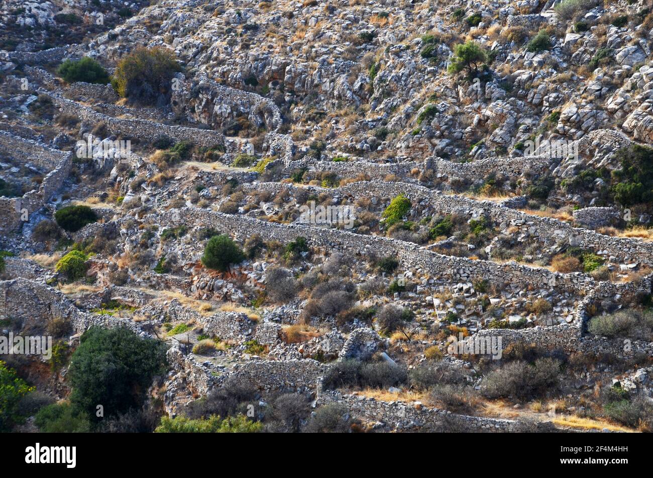 Terraces and dry stone walls on a hillside near Ano Syros, Syros ...