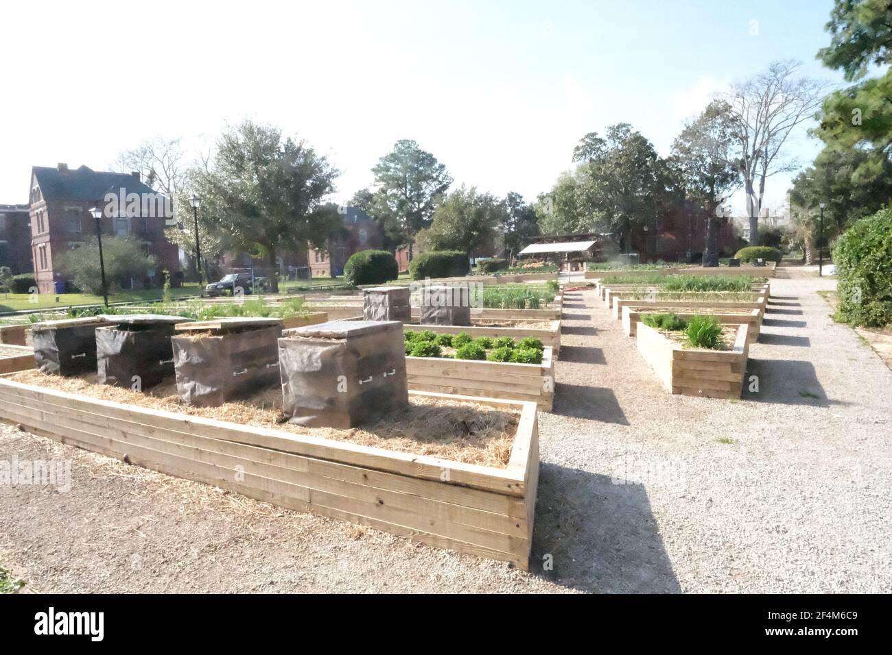 Enston Homes Village and Urban Garden, dating from 1850 and now under ...