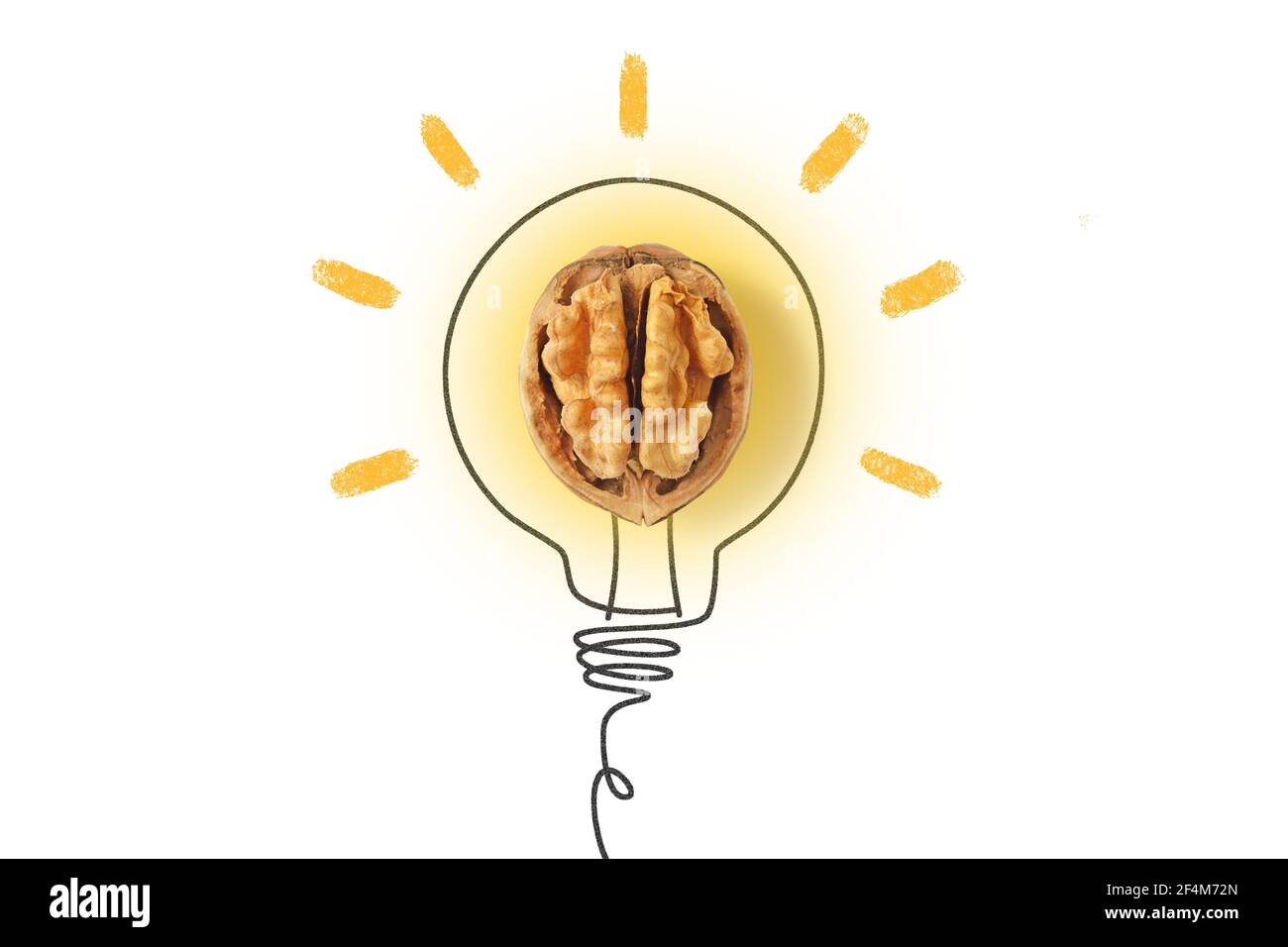 Light bulb drawing with open walnut - Concept of walnut and brain Stock ...