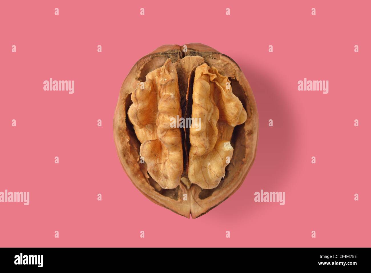 Open walnut on pink background - Concept of brain, walnut and woman ...