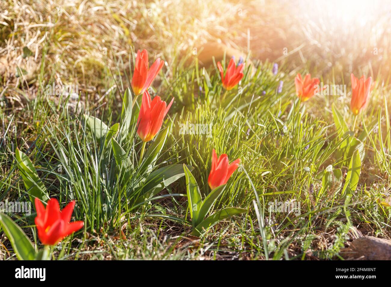 Hello march hi-res stock photography and images - Alamy