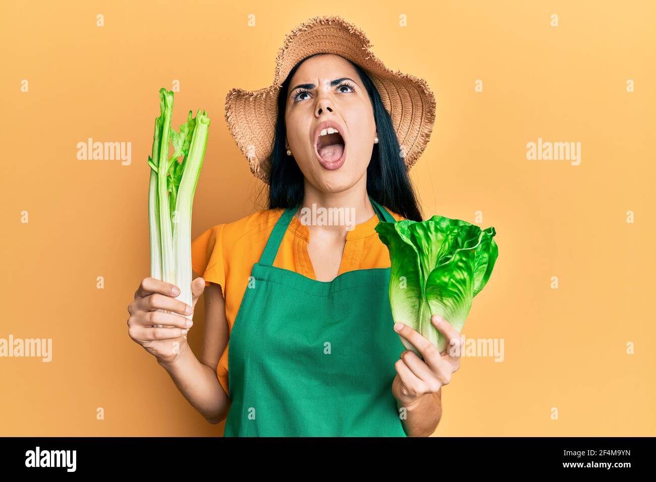 Beautiful young woman wearing gardener apron holding vegetables angry ...