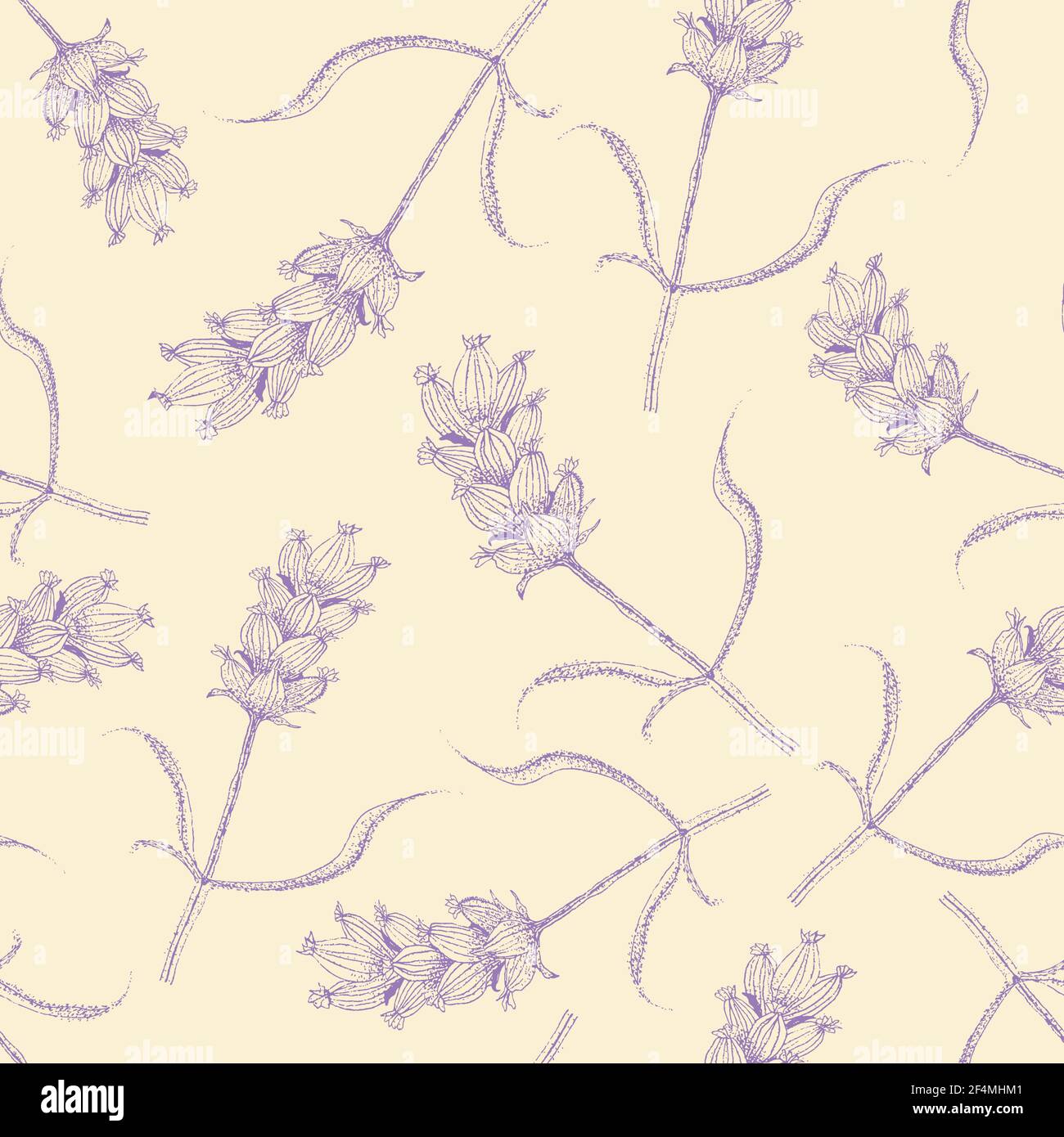 Lavender line art seamless vector pattern background. Purple blossoms ...