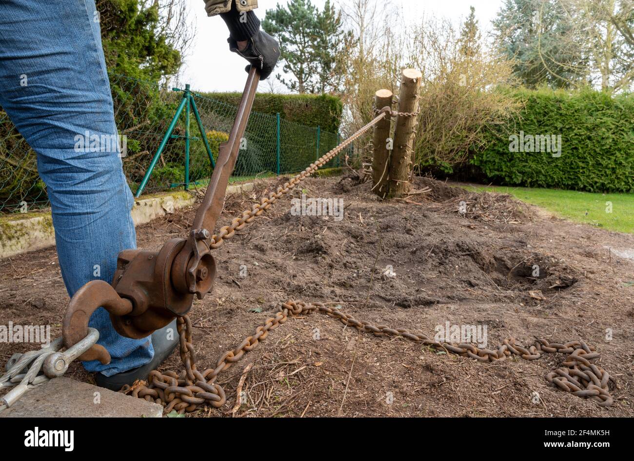 Removing tree root hi-res stock photography and images - Alamy