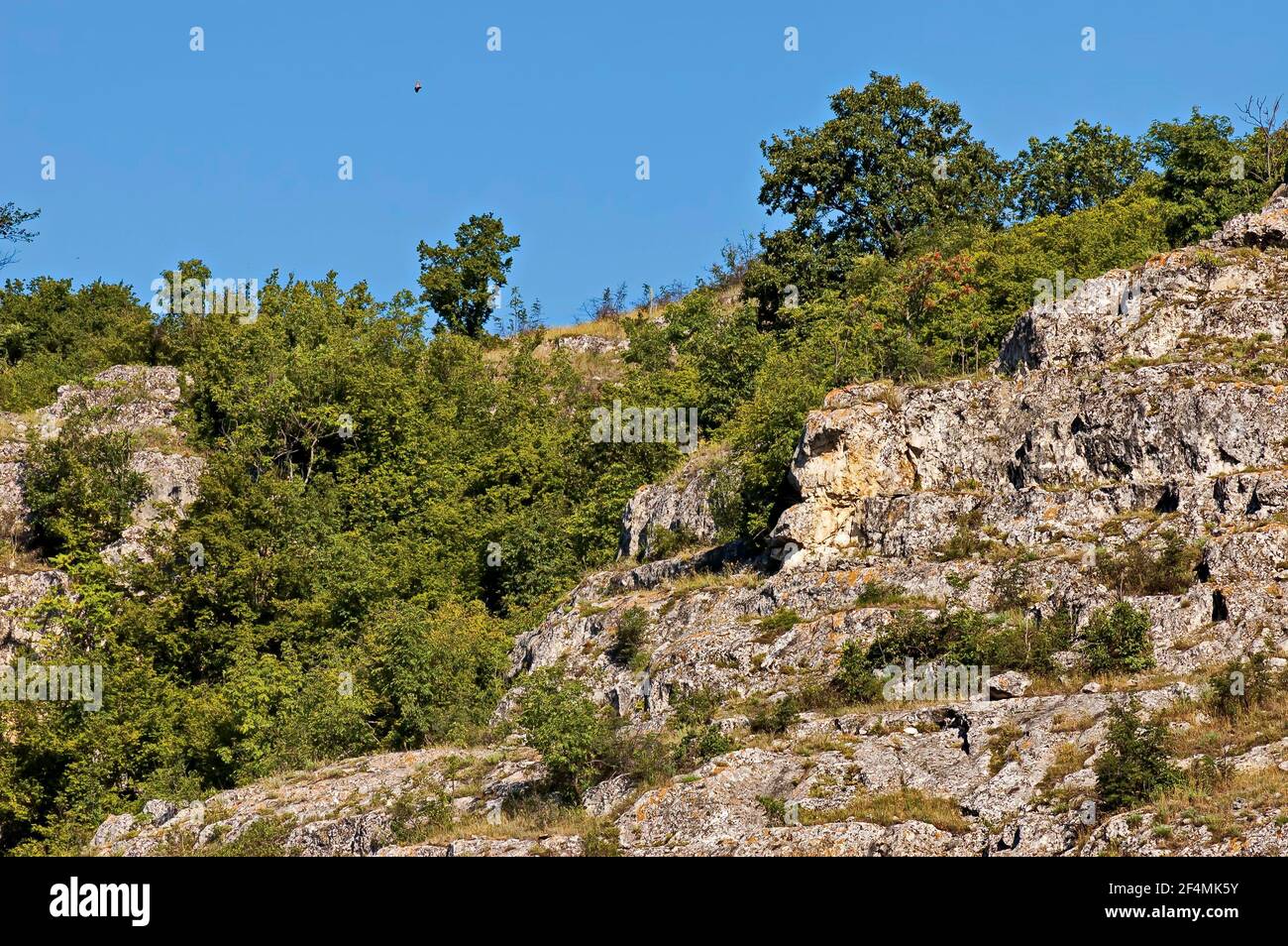Panorama from the area of Rusenski Lom Nature Park with high vertical ...