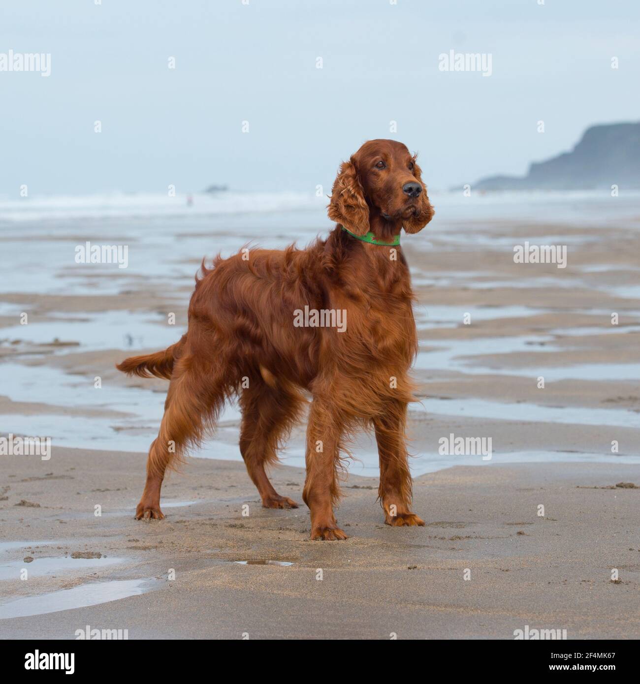 Irish seaside hi-res stock photography and images - Alamy