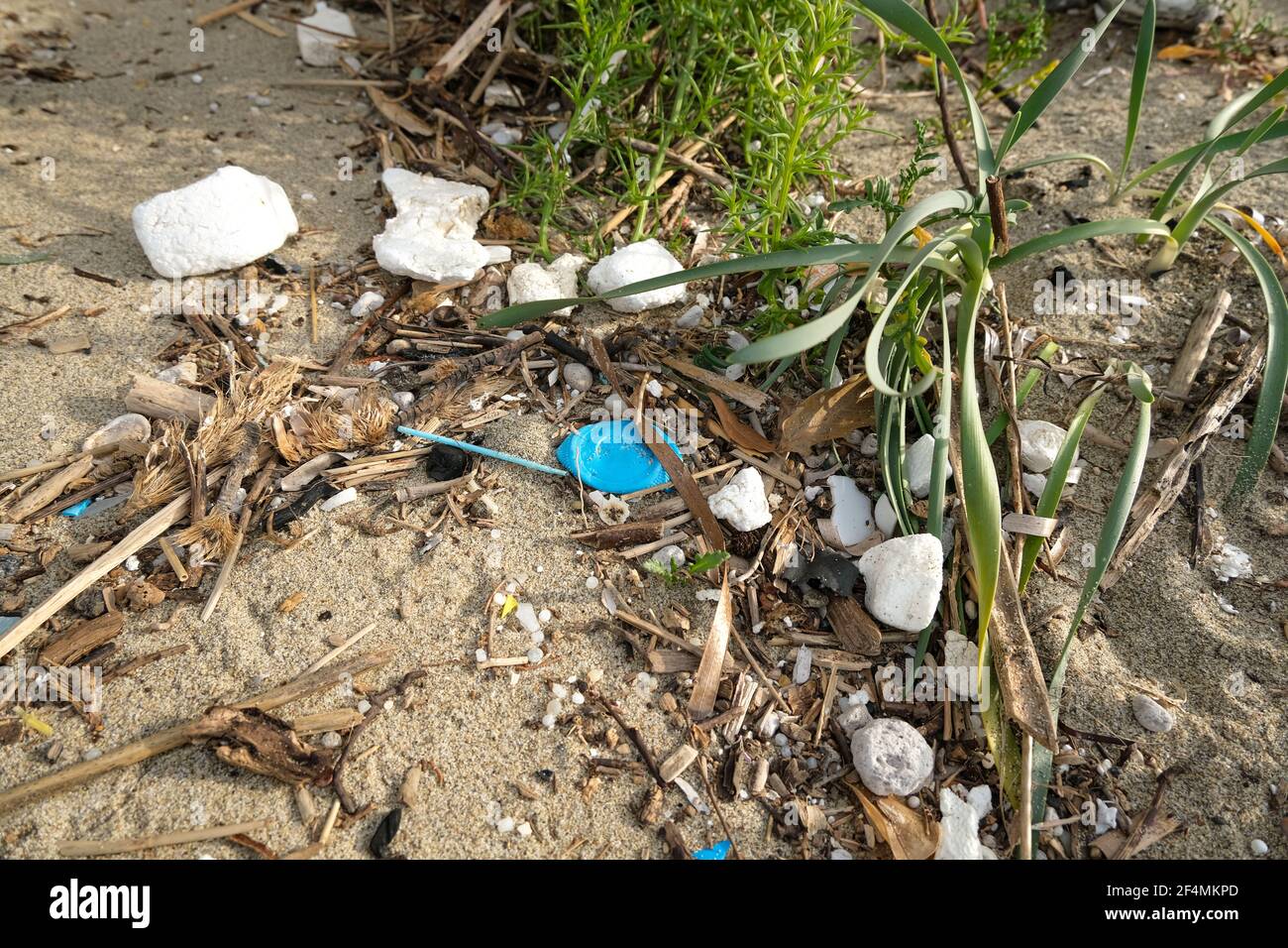 Micro plastics and polystyrene waste on sea plants ecosystem,ocen ...