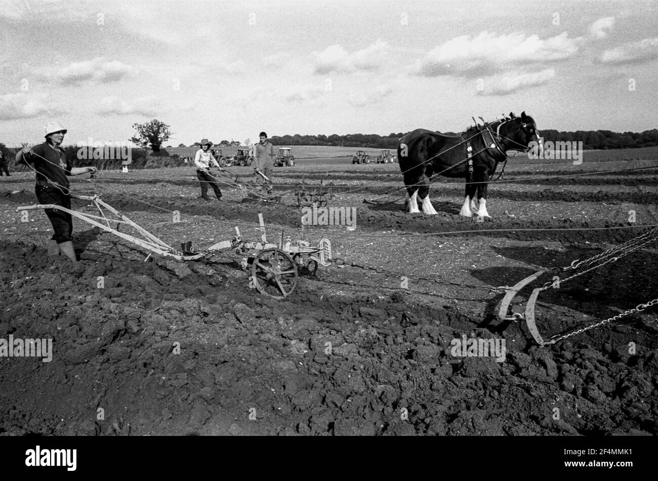 Women 40 50 yrs hi-res stock photography and images - Alamy