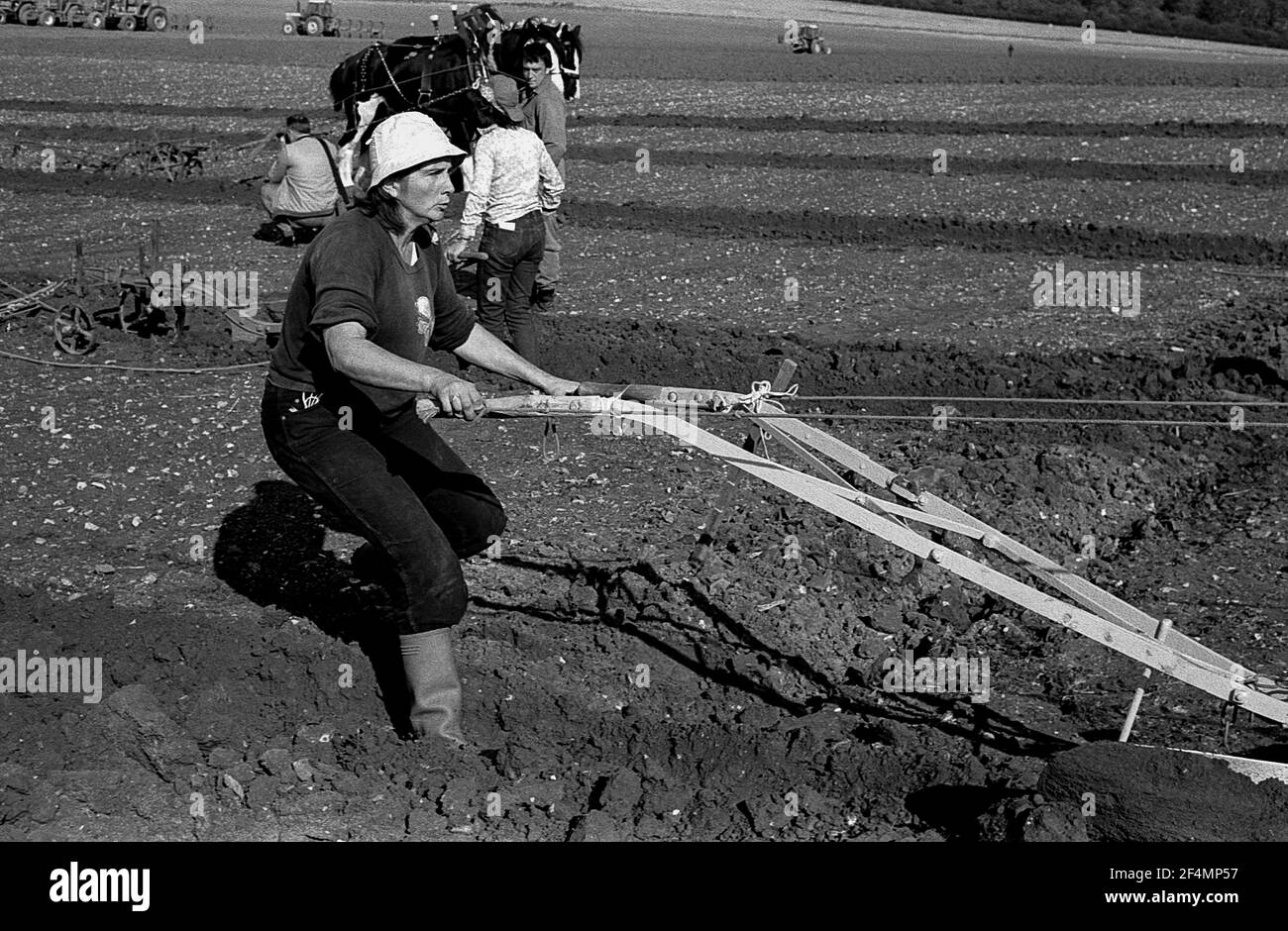 East Kent Ladies Ploughing Competition with Horses. Woman ploughing ...