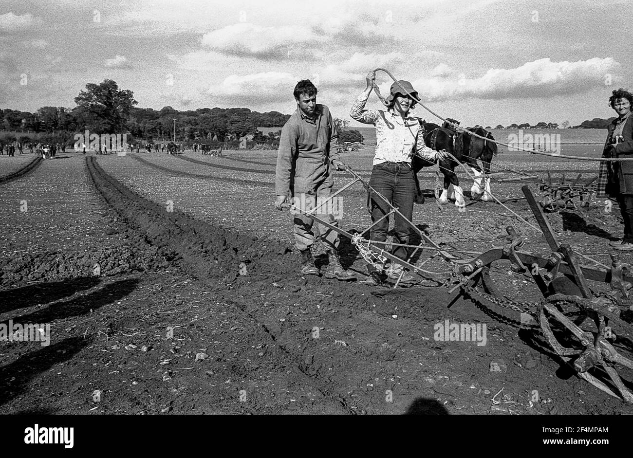 Working shire horse ploughing hi-res stock photography and images - Alamy