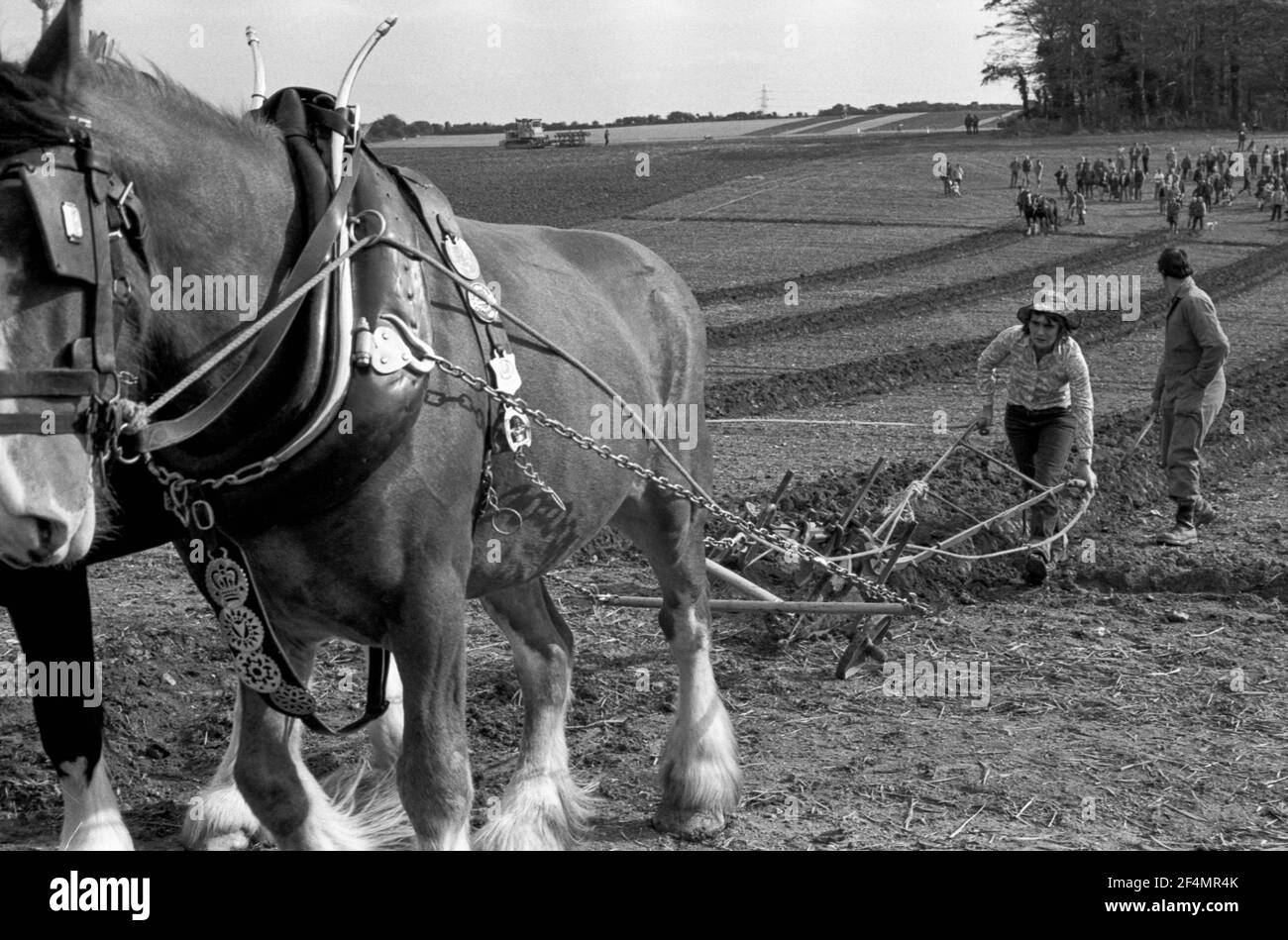 East Kent Ladies Ploughing Competition with Horses. Woman ploughing ...
