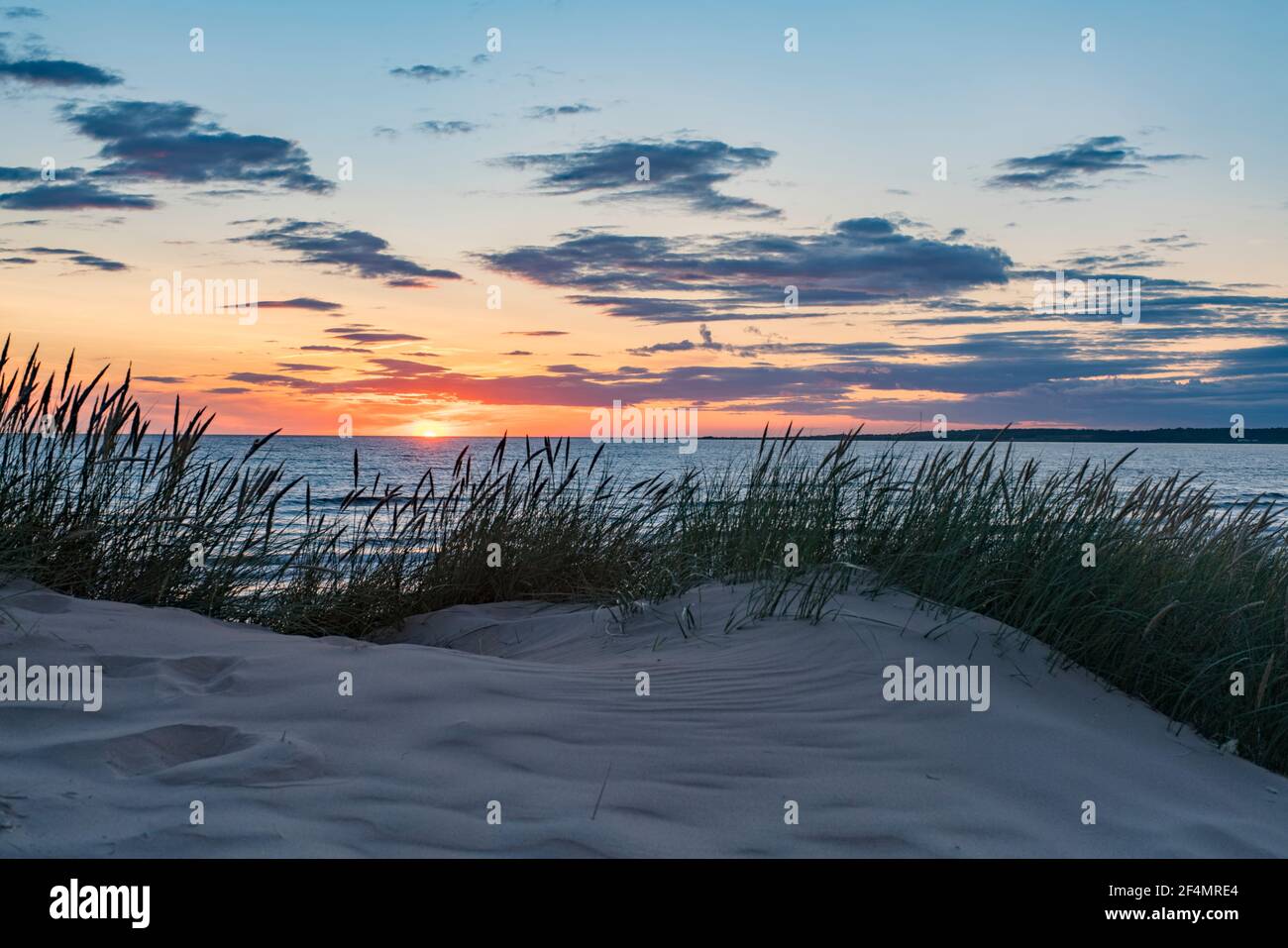 Halmstad tylosand hi-res stock photography and images - Alamy