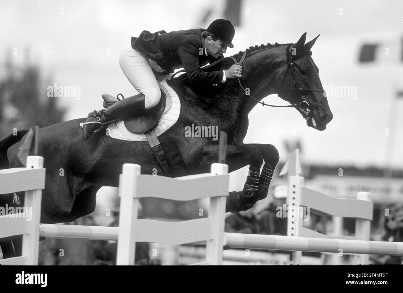 Csio High Resolution Stock Photography and Images - Alamy