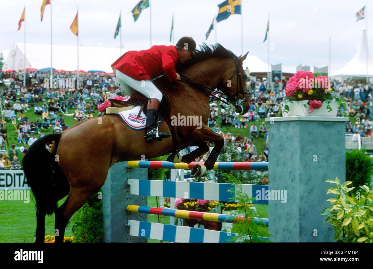 David broome horse hi-res stock photography and images - Alamy