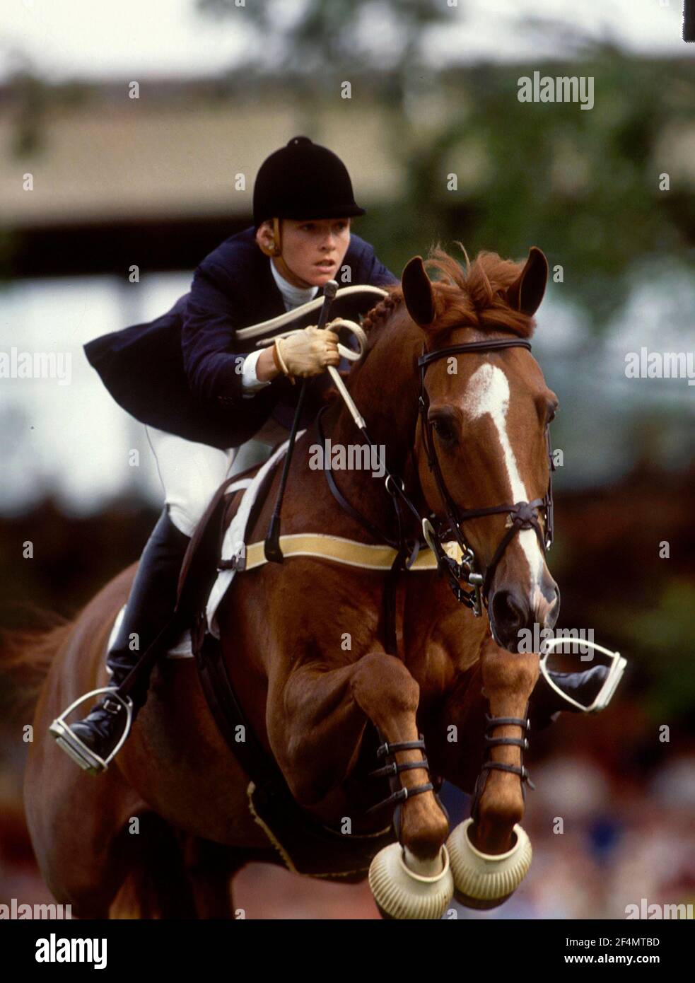 Sports Ware High Resolution Stock Photography and Images - Alamy