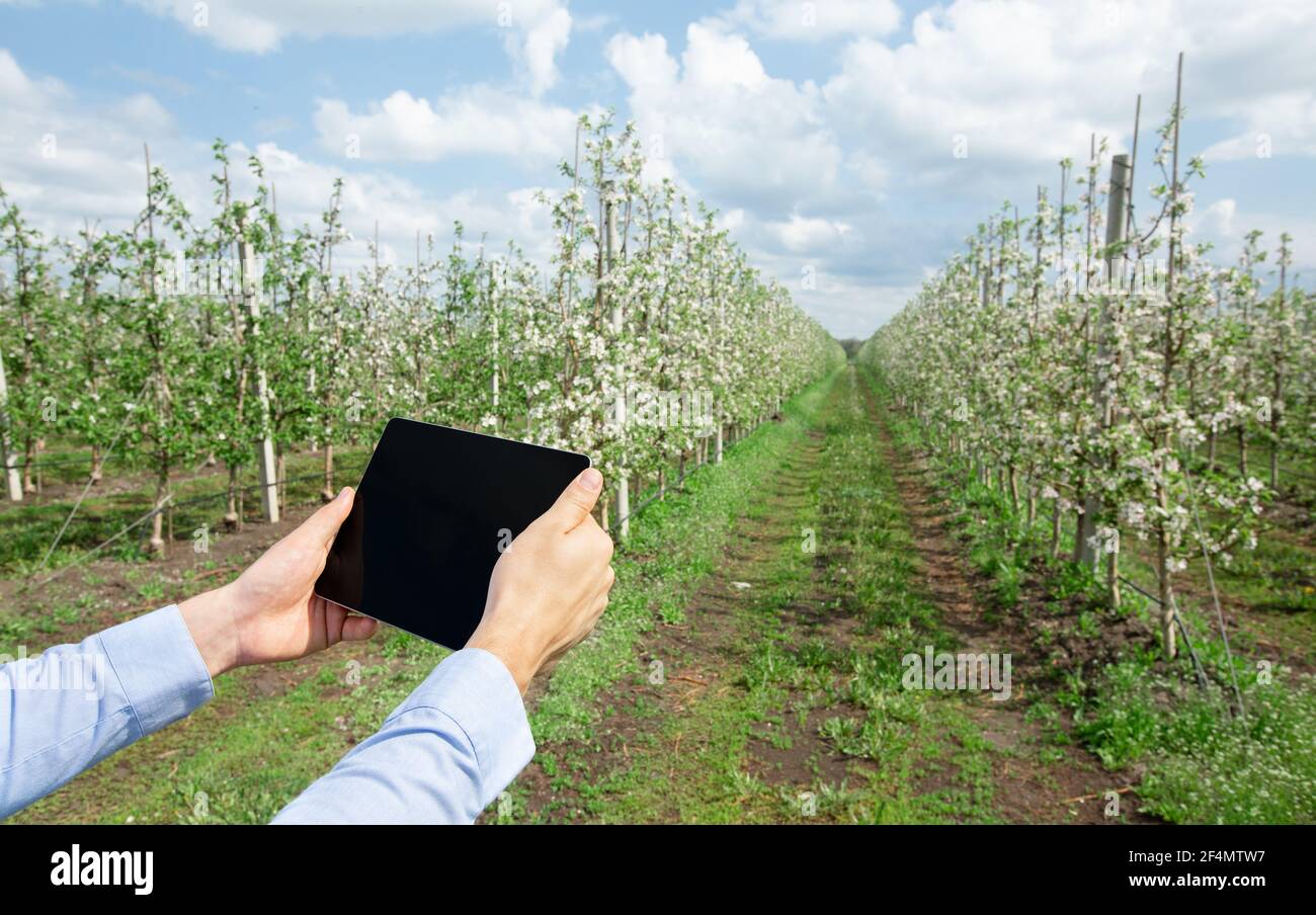 Innovation technology for smart farm system, agriculture management ...