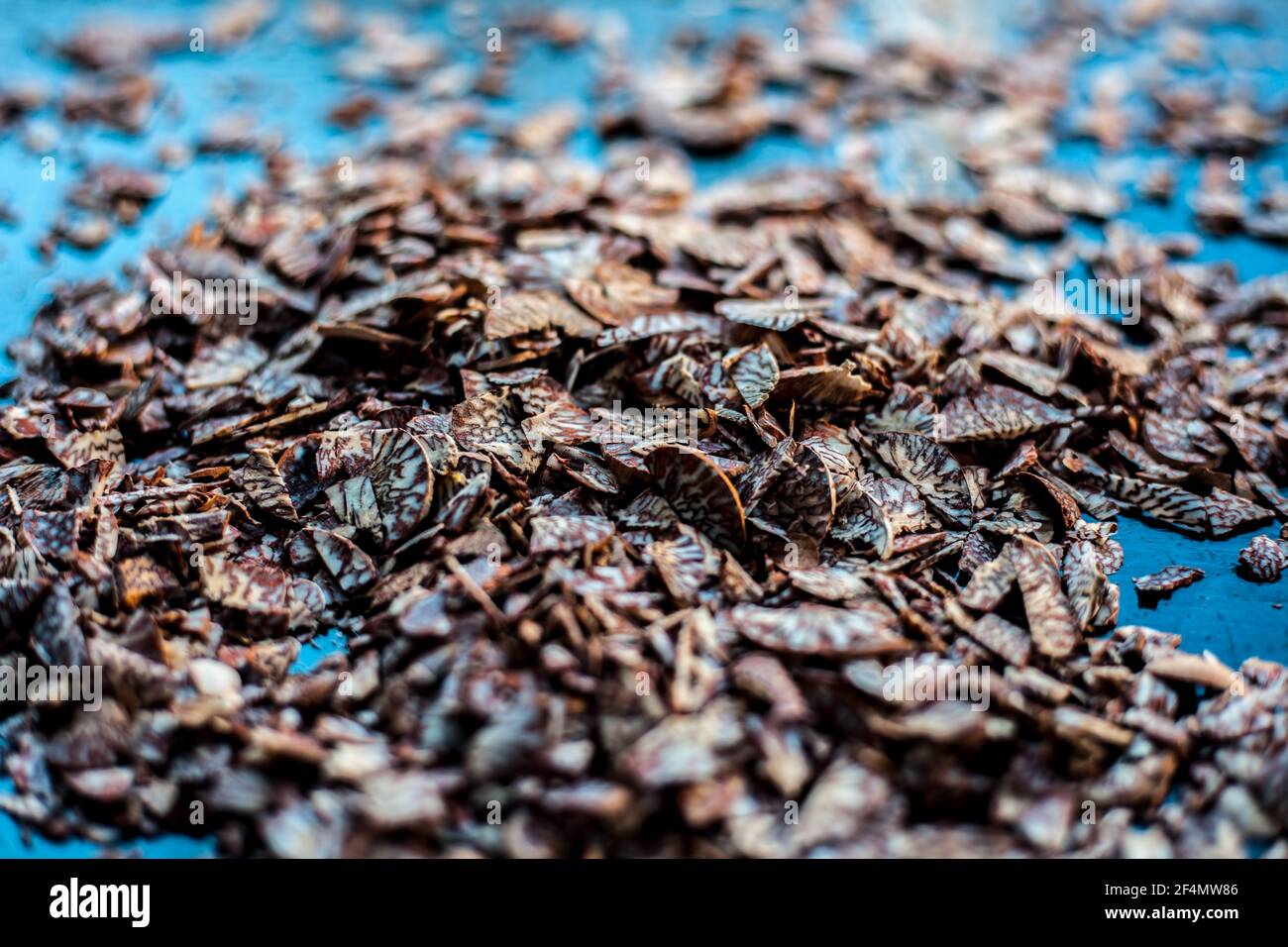 Spitting stained hi-res stock photography and images - Alamy