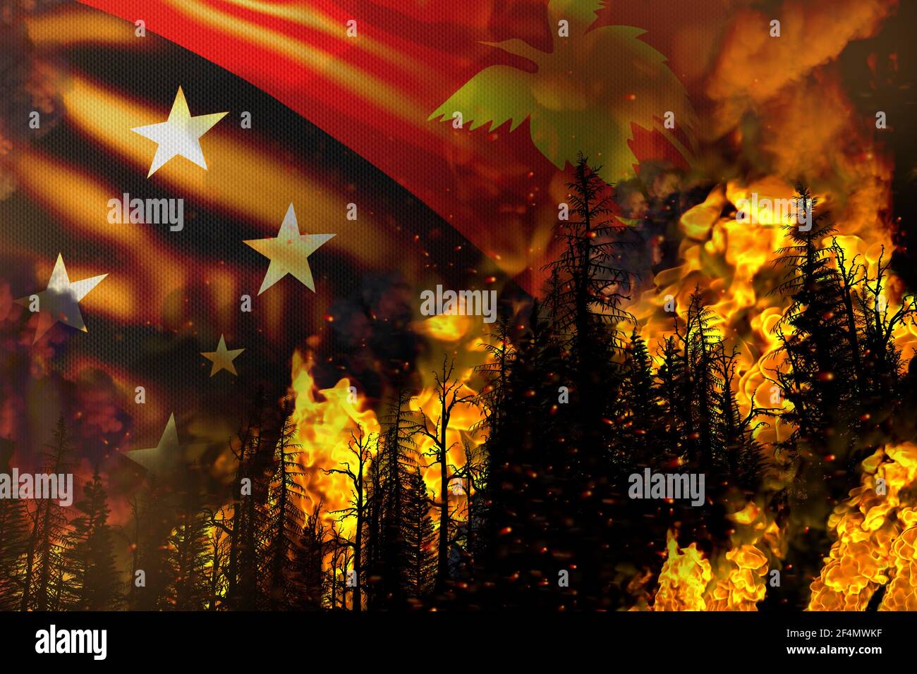 Forest fire natural disaster concept - burning fire in the trees on ...