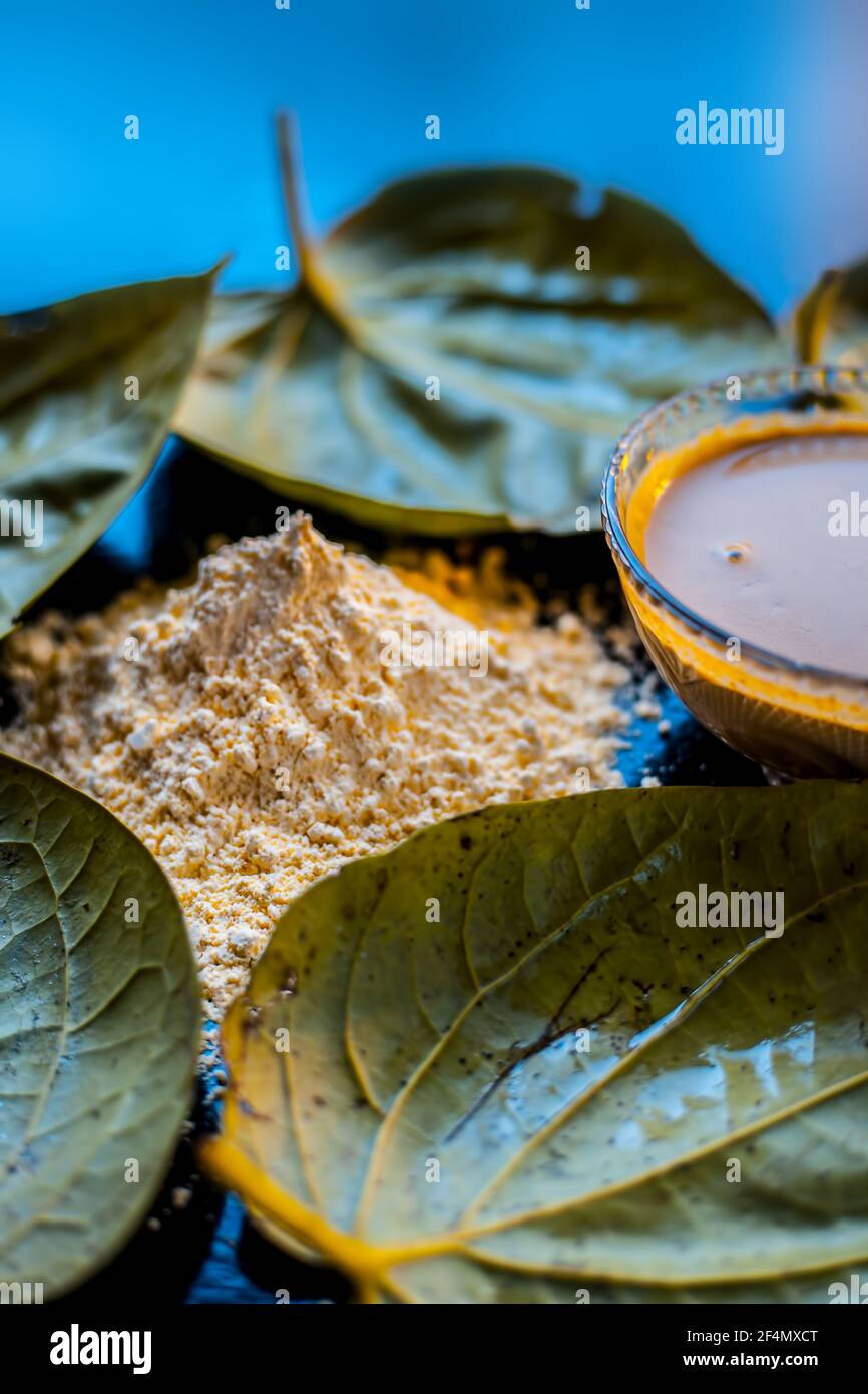 Face mask for nourishing your skin consisting of betel leaves, besan or ...