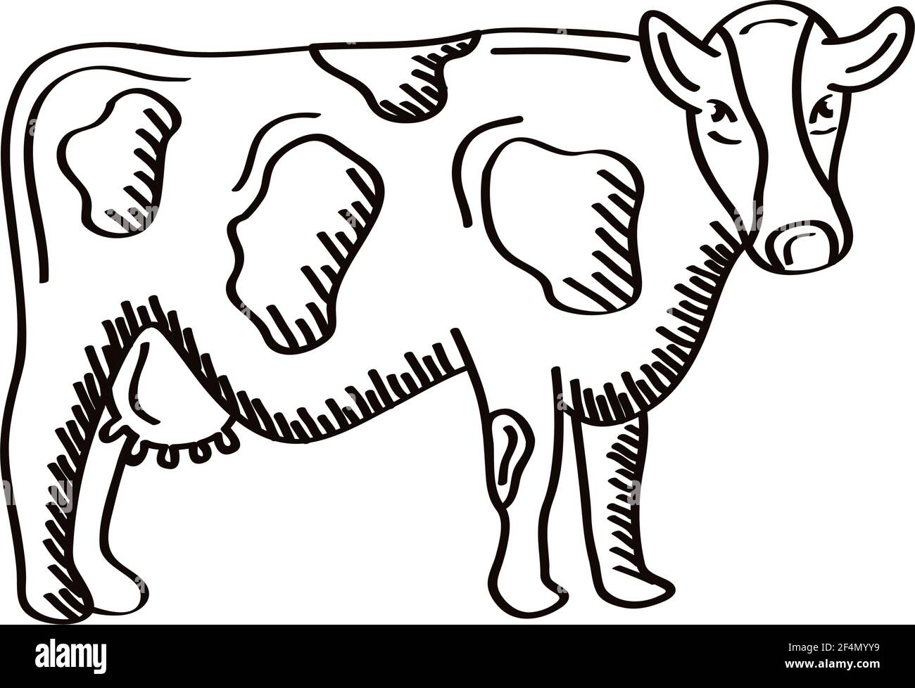 cow animal farm drawn style Stock Vector Image & Art - Alamy