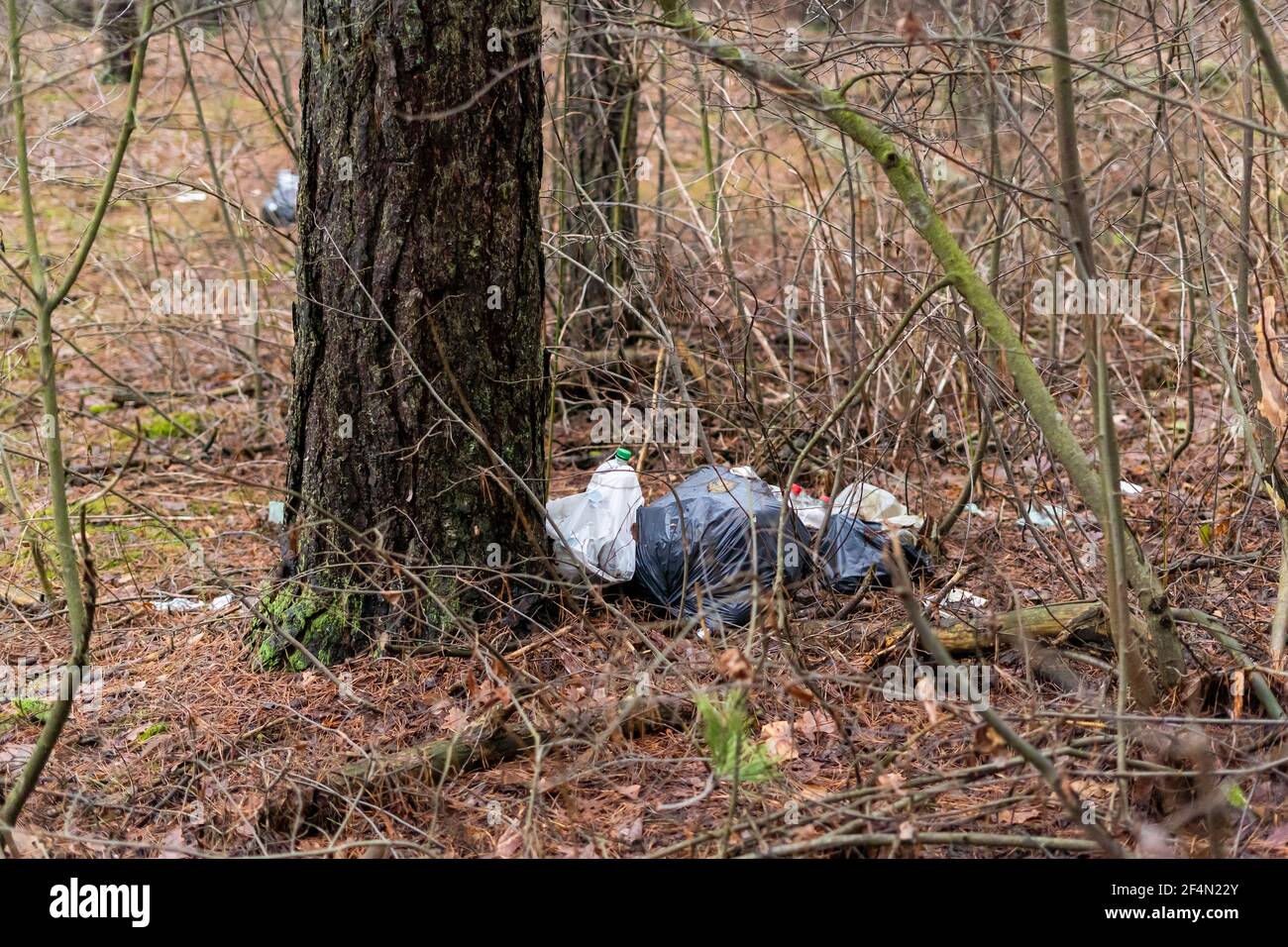 People set up a garbage warehouse near a tree in the forest Stock Photo ...