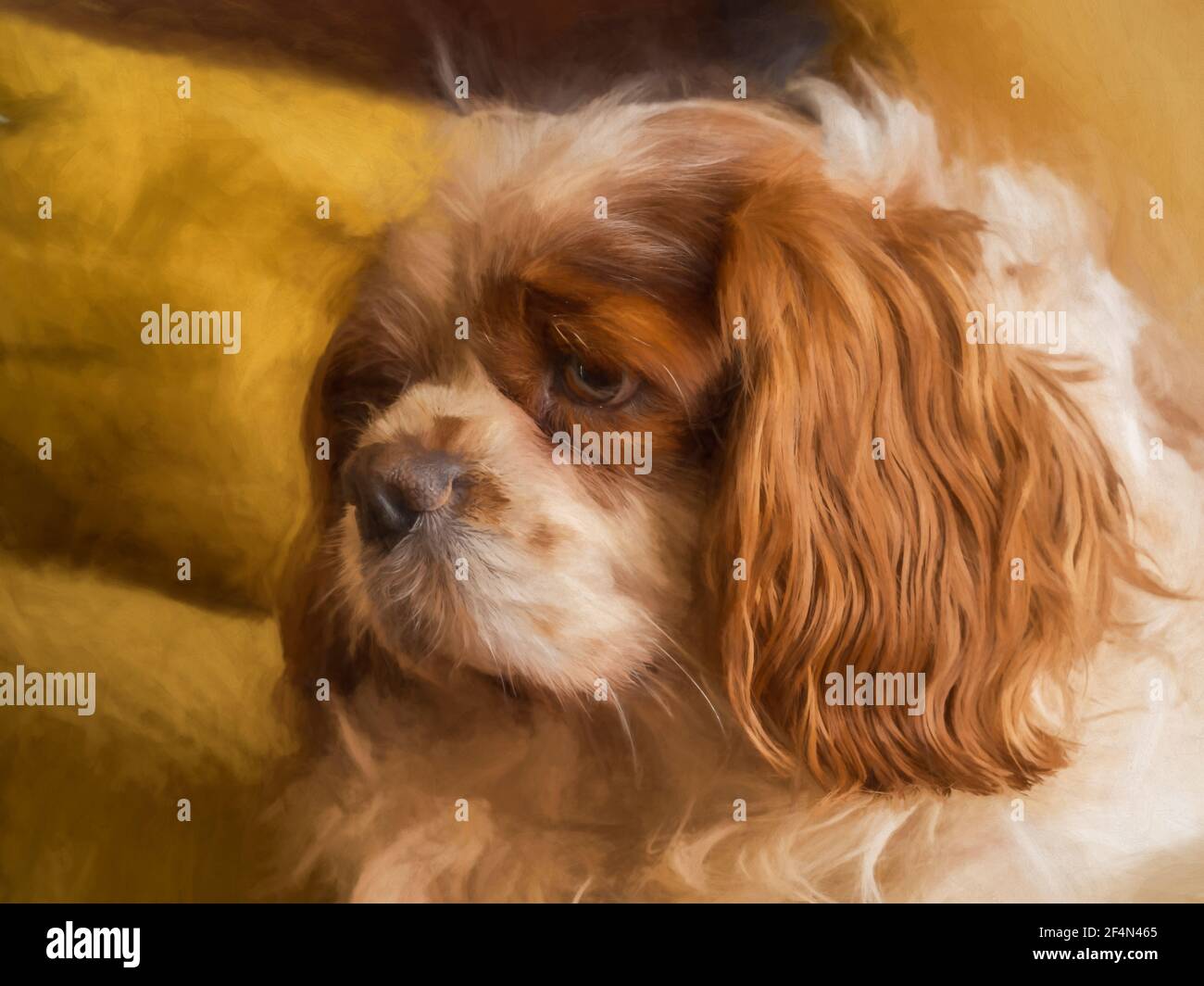 Digital painting of a single Blenheim Cavalier King Charles Spaniel in ...
