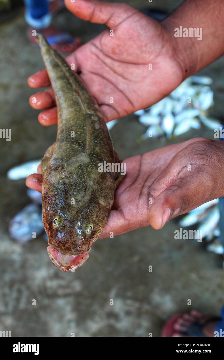 Indian goblet hi-res stock photography and images - Alamy