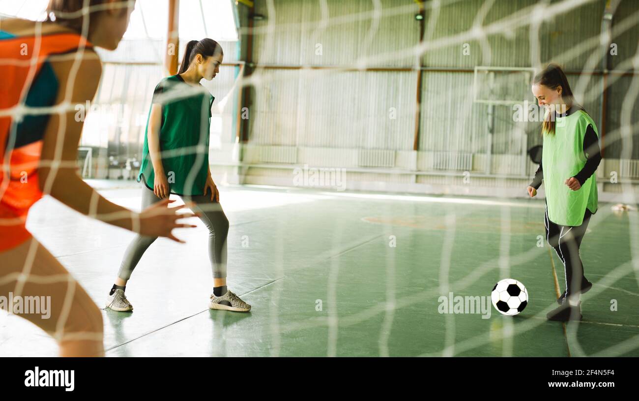 Female players on big professional arena during the game. Inside photo ...